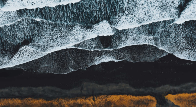 Download de Oribi CertifID App | Oribi